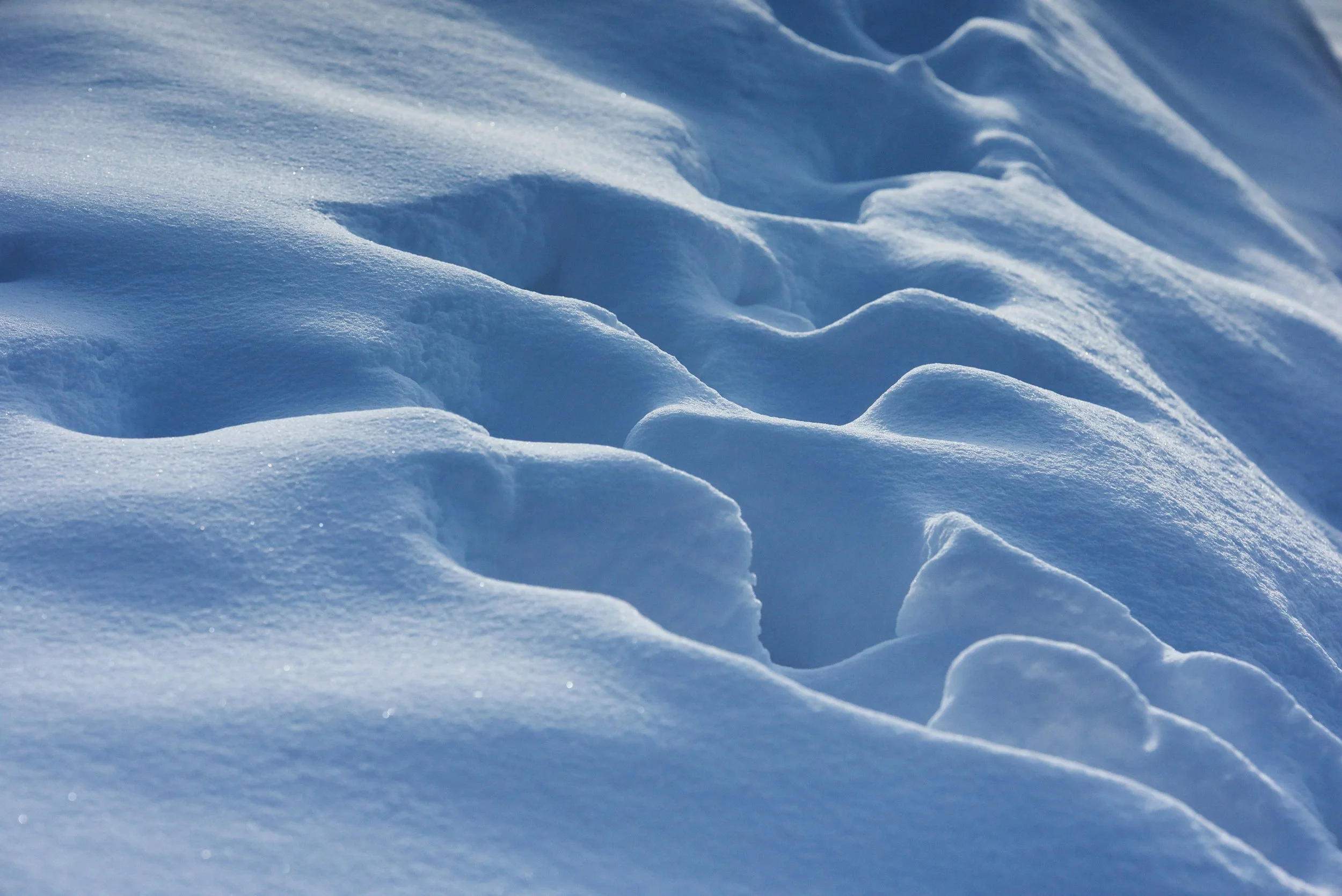 Frozen Ground, Cinematography by Brendan McGinty — Brendan McGinty