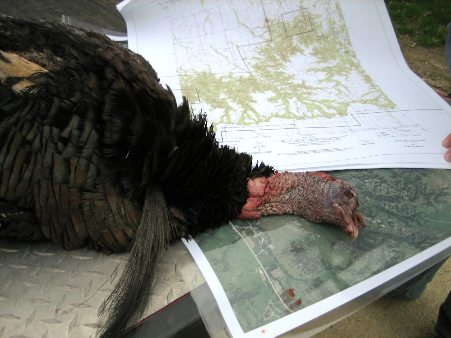 Mapping Your Way to More Turkeys — Joel Nelson Outdoors