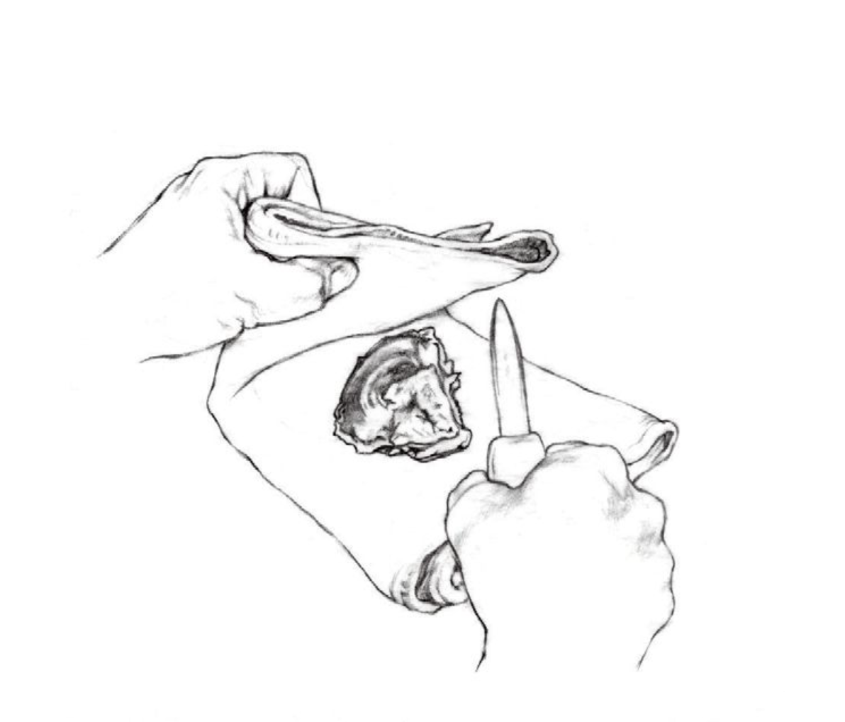 Hand Holding Drawing Tumblr