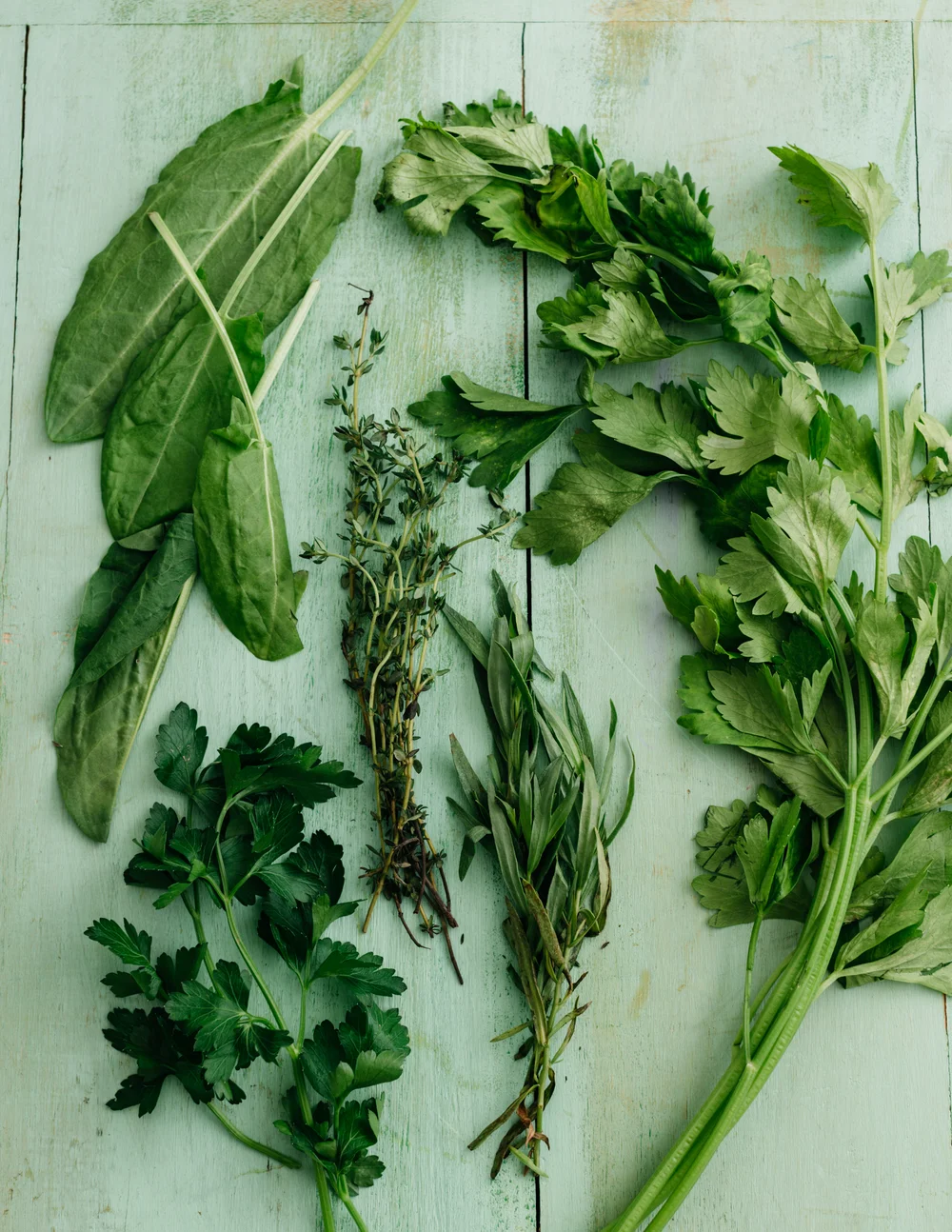 One Ingredient: Spring Herbs — Edible Boston
