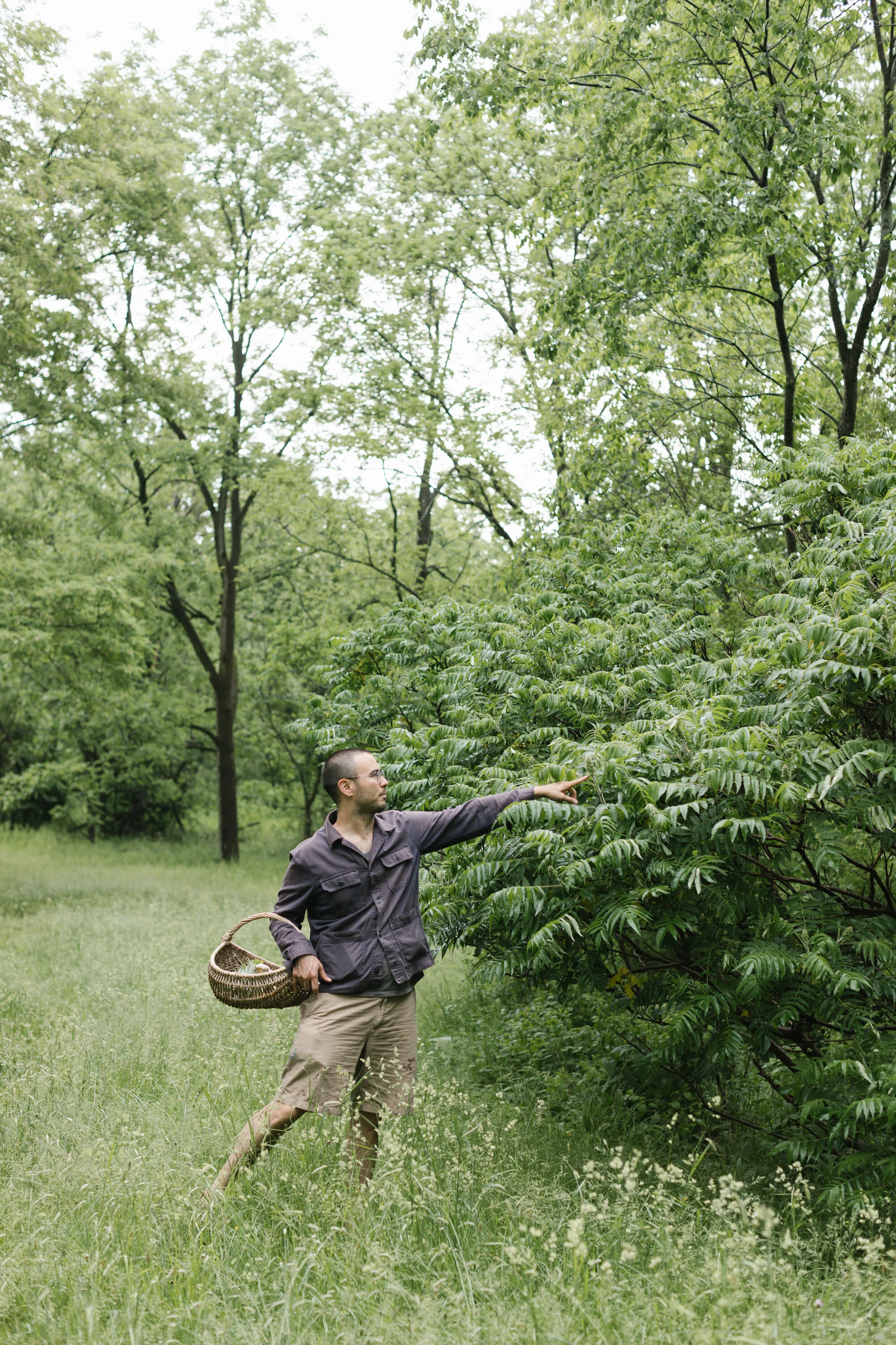 How-to: Urban and Suburban Foraging — Edible Boston