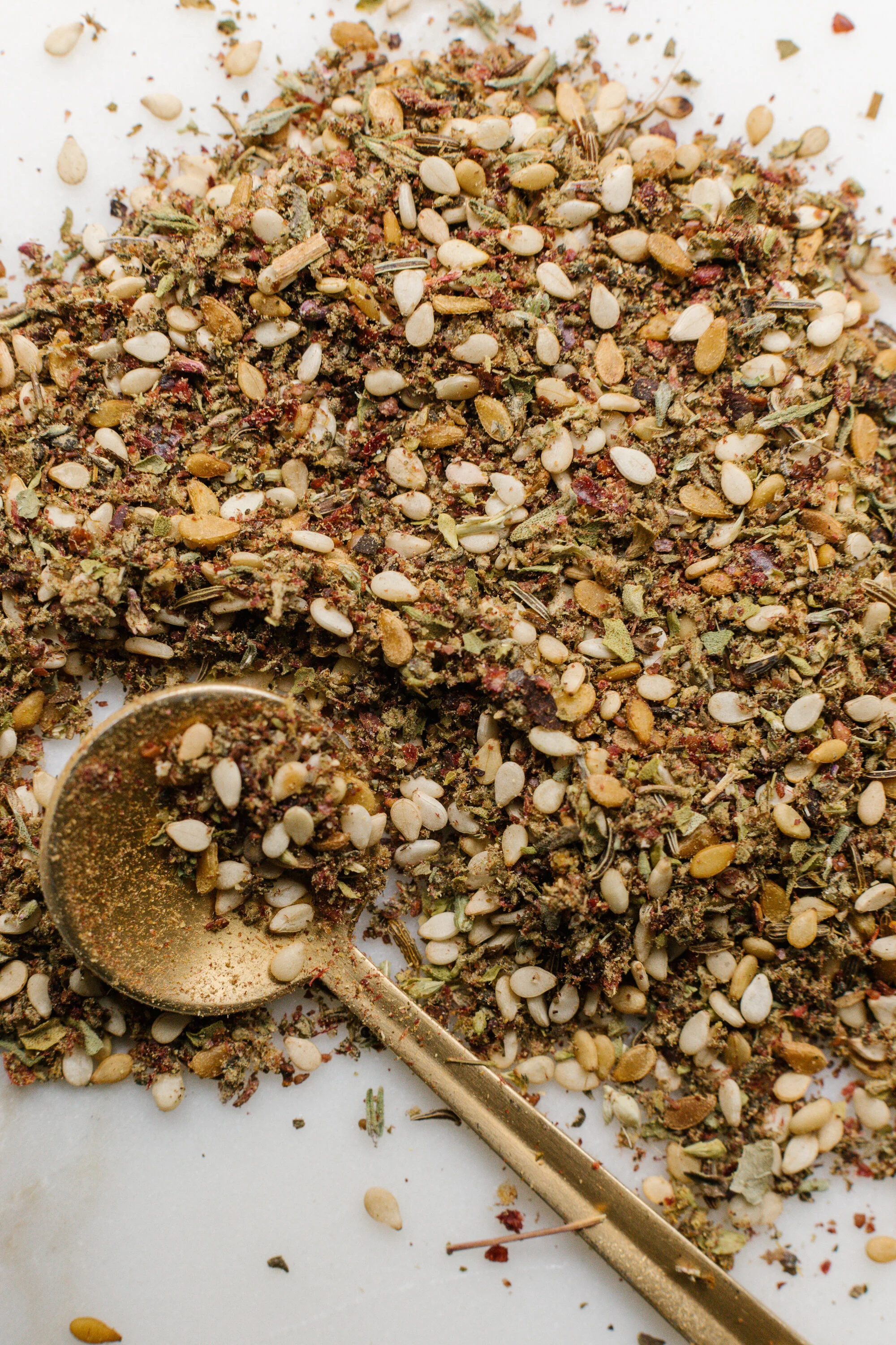 How-to: Urban and Suburban Foraging — Edible Boston