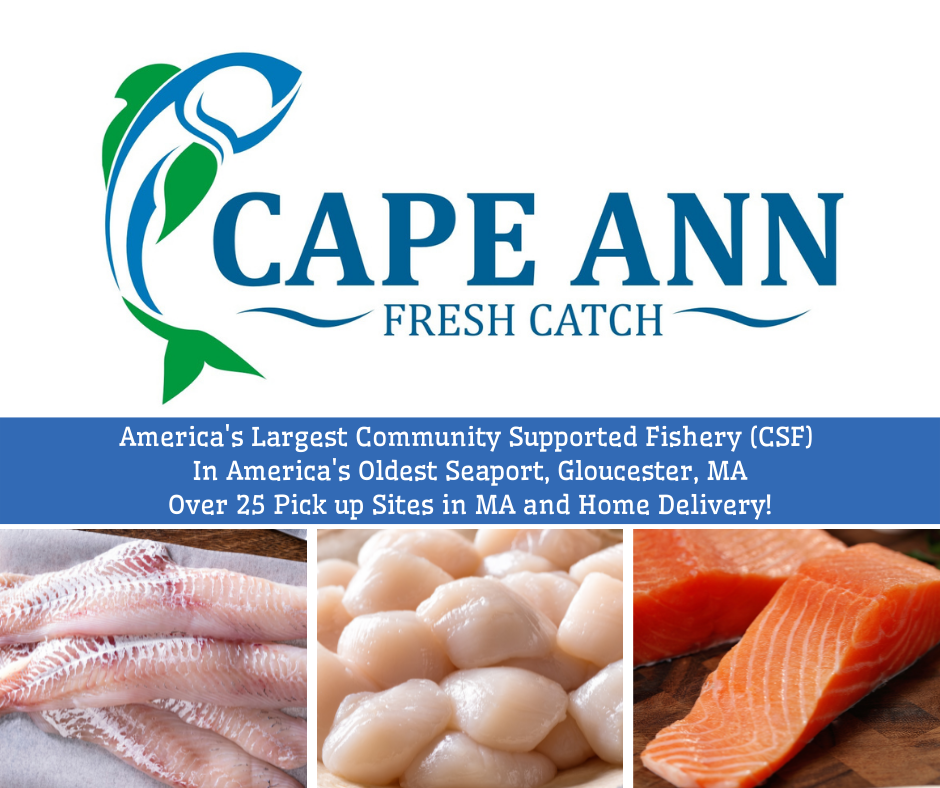 Local Holiday Gift Guide, 2022 — Edible Boston