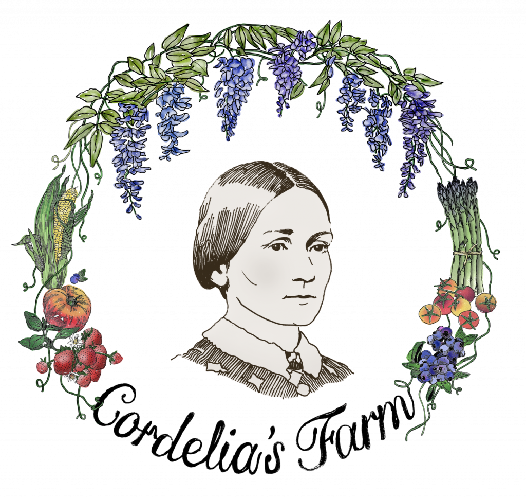 CSA Guide — Edible Boston