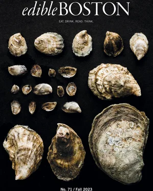 Edible Boston