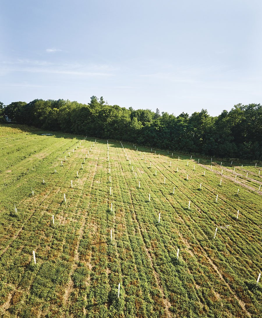 The Agro-Eco Project — Edible Boston
