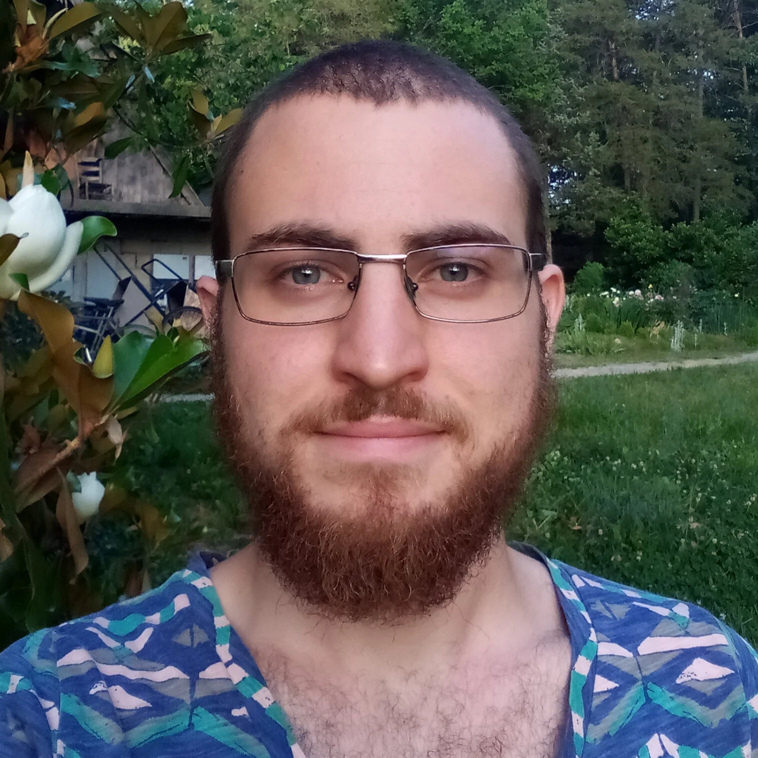 Shinzen Young's Life Practice Program