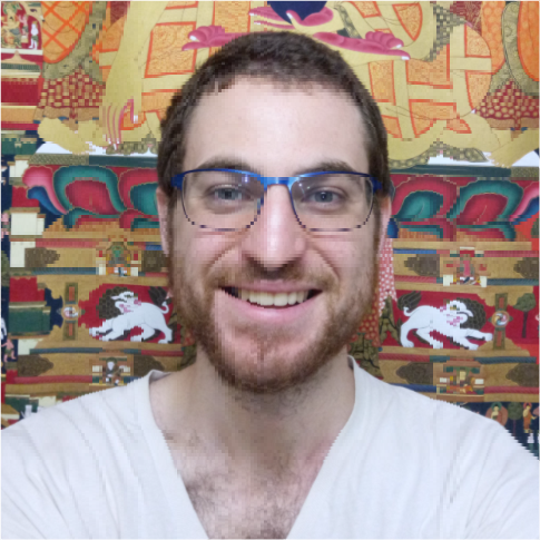 Shinzen Young's Life Practice Program