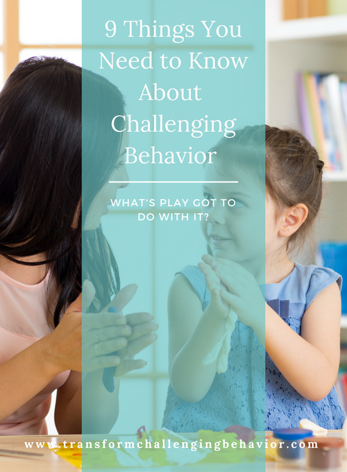 9 Things You Need to Know About Play (and Preventing Challenging ...
