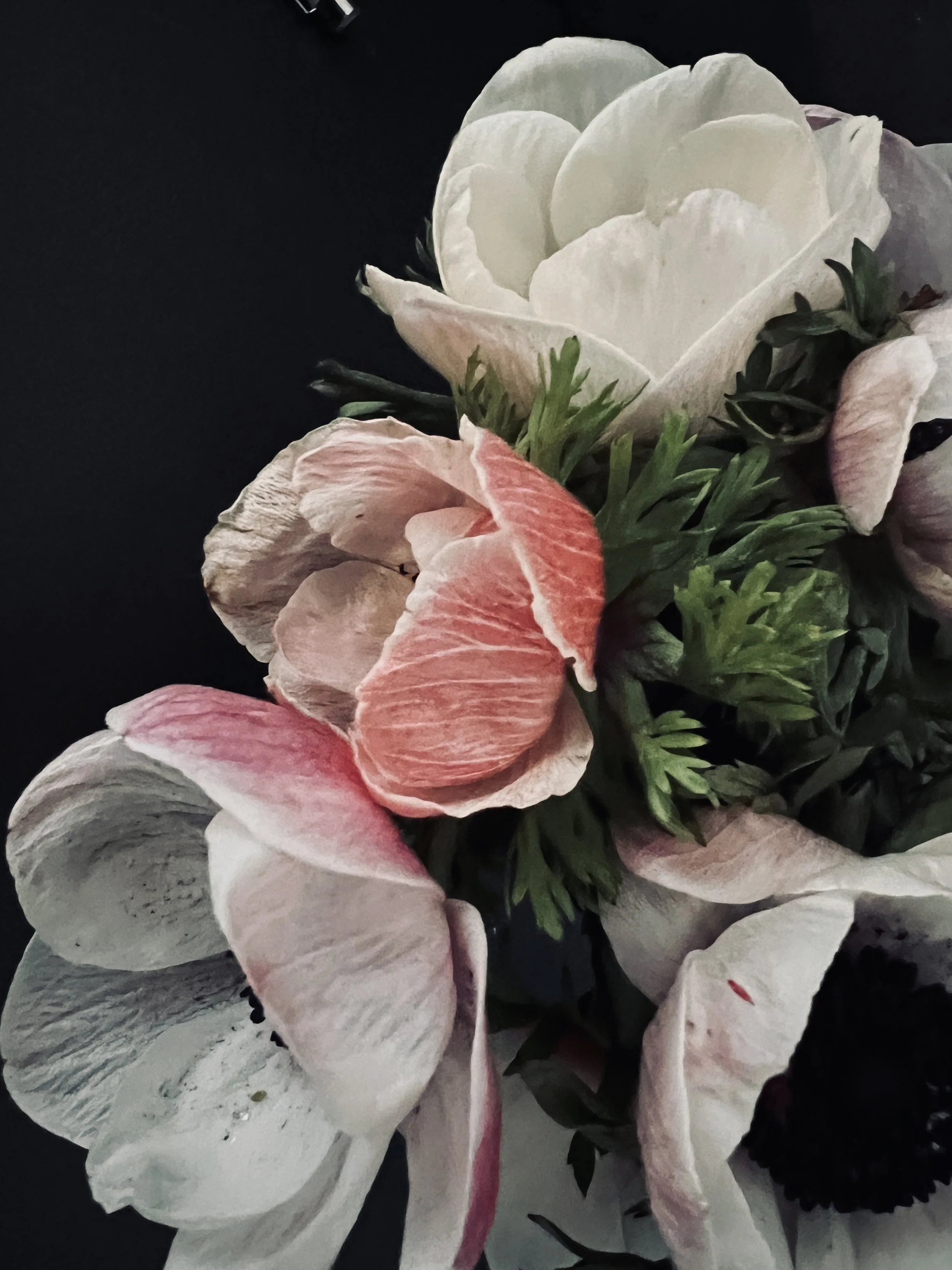 Flowers & Contour Drawing — RM
