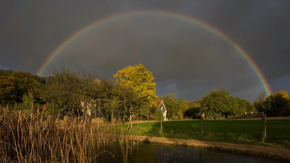 Nature Reserve Near Bristol and Bath | Somerset Nature Reserves — Folly ...