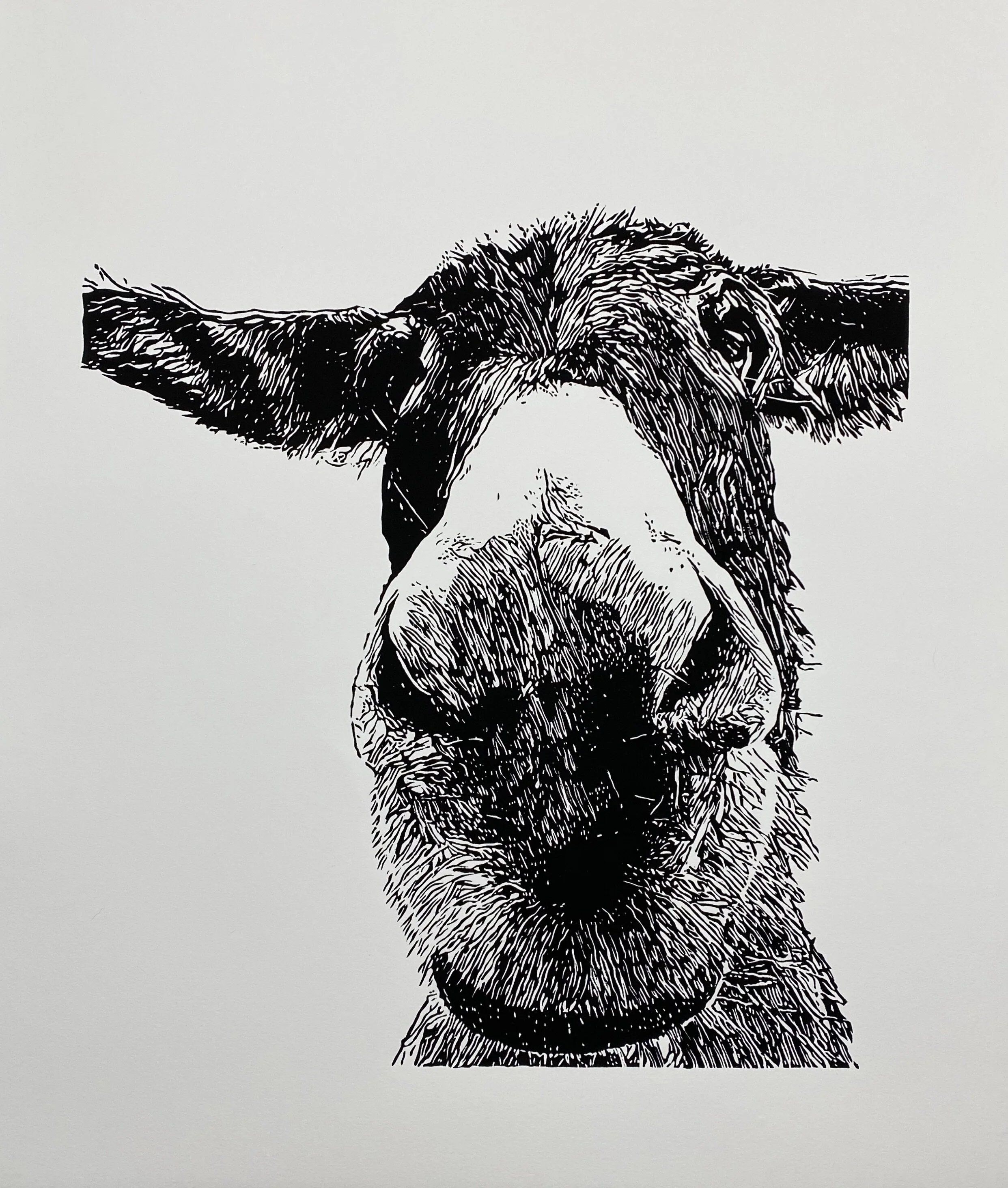 Original Linocuts — Laughing Mule Press