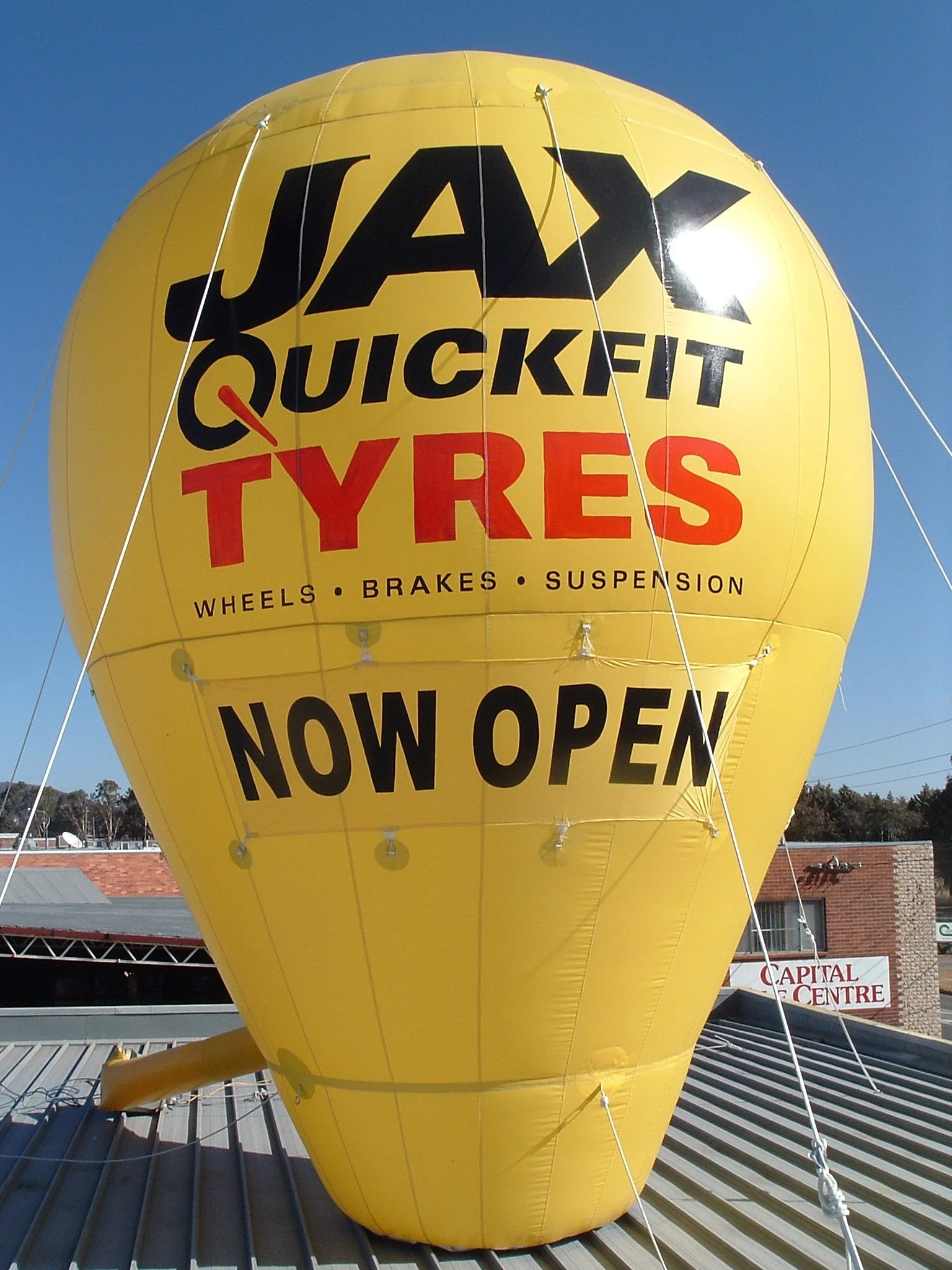 Giant Balloon Rentals