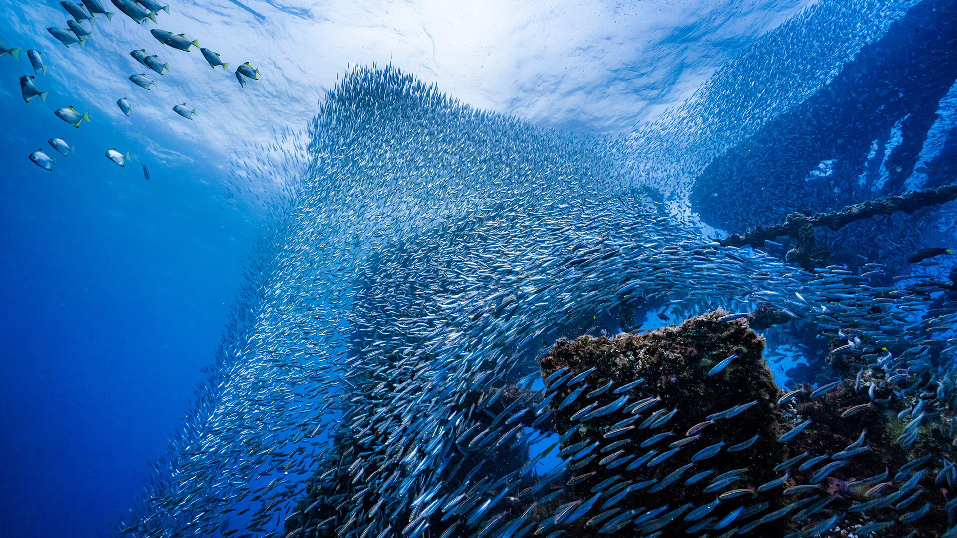 Ocean Photography | By Ste Everington