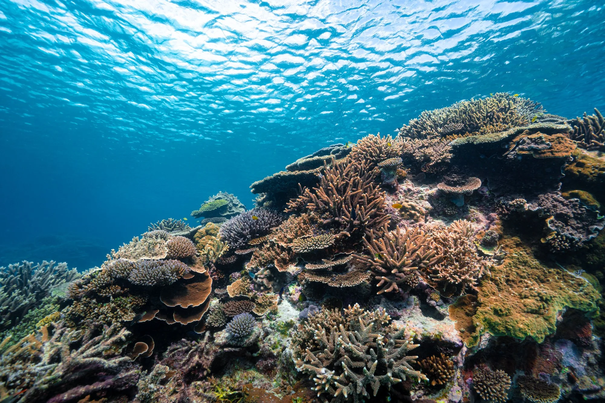 Ocean Photography | By Ste Everington