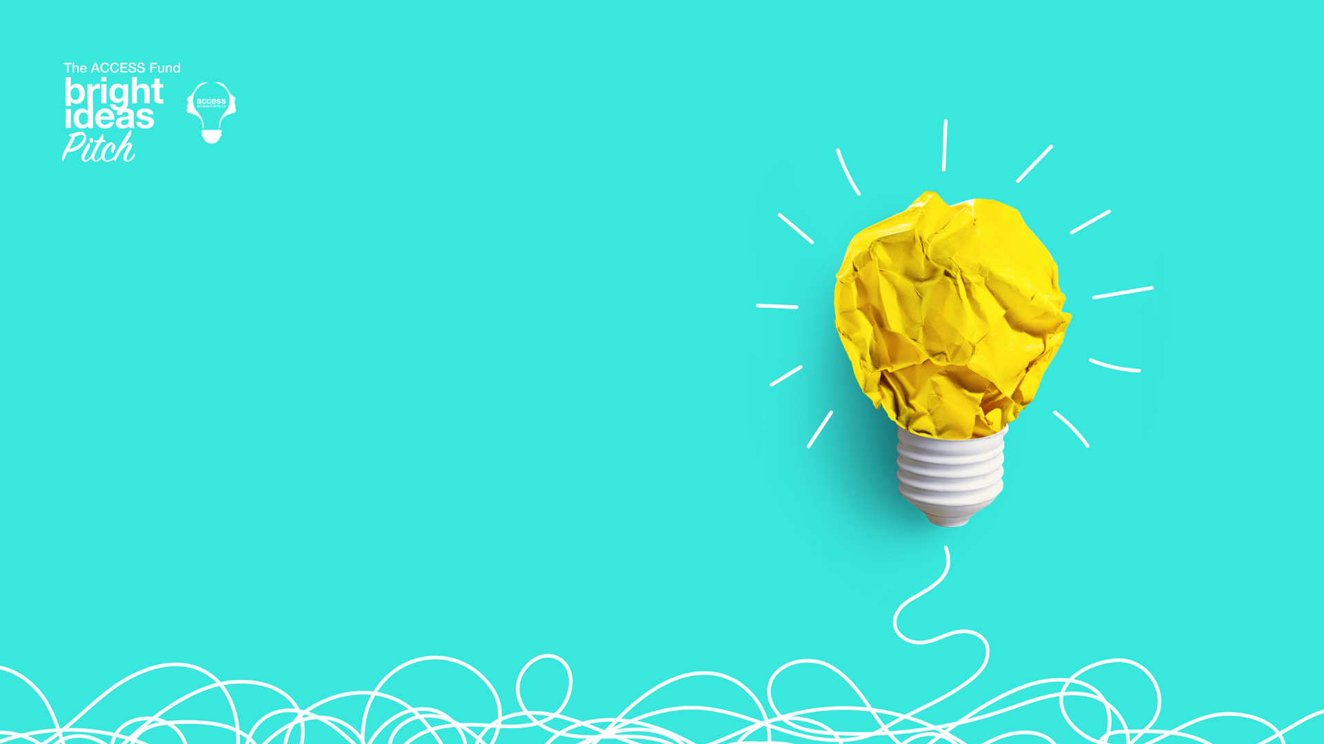 Announcing the 2021 Recipients of the Bright Ideas Pitch — ACCESS ...