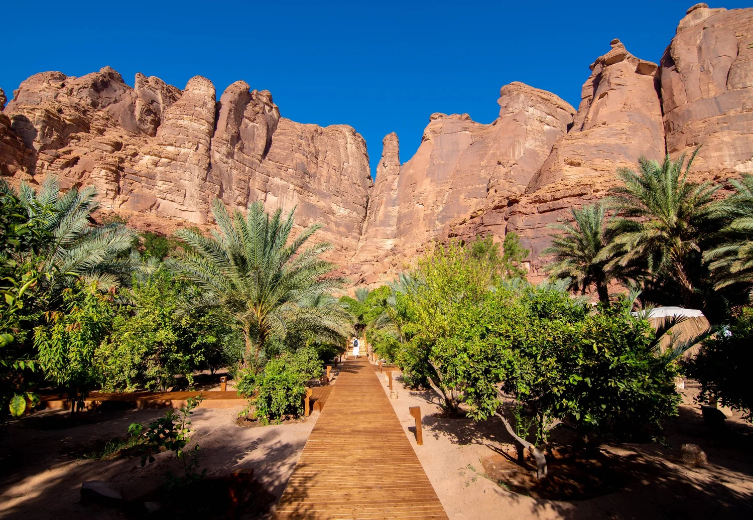 S5 Sanctuary Season 2, Al Ula, KSA — Lulie Fisher Design Studio