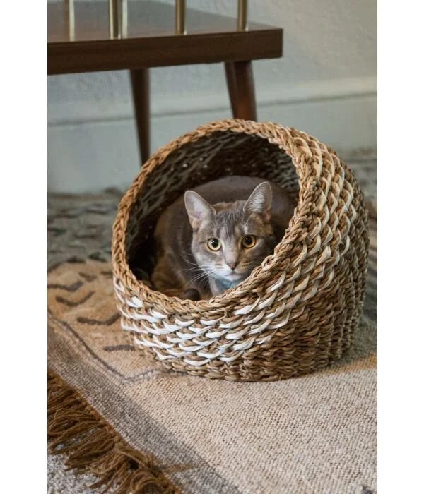 9 Eco-friendly Gifts for Pets — The Honest Consumer