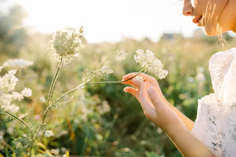 44 Slow Living Quotes to Inspire Relaxation in Daily Life — The Honest ...