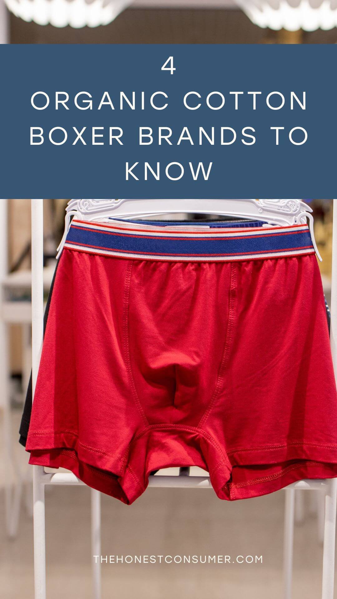 The 4 Best Organic Cotton Boxer Brands for Sustainable Men — The Honest ...
