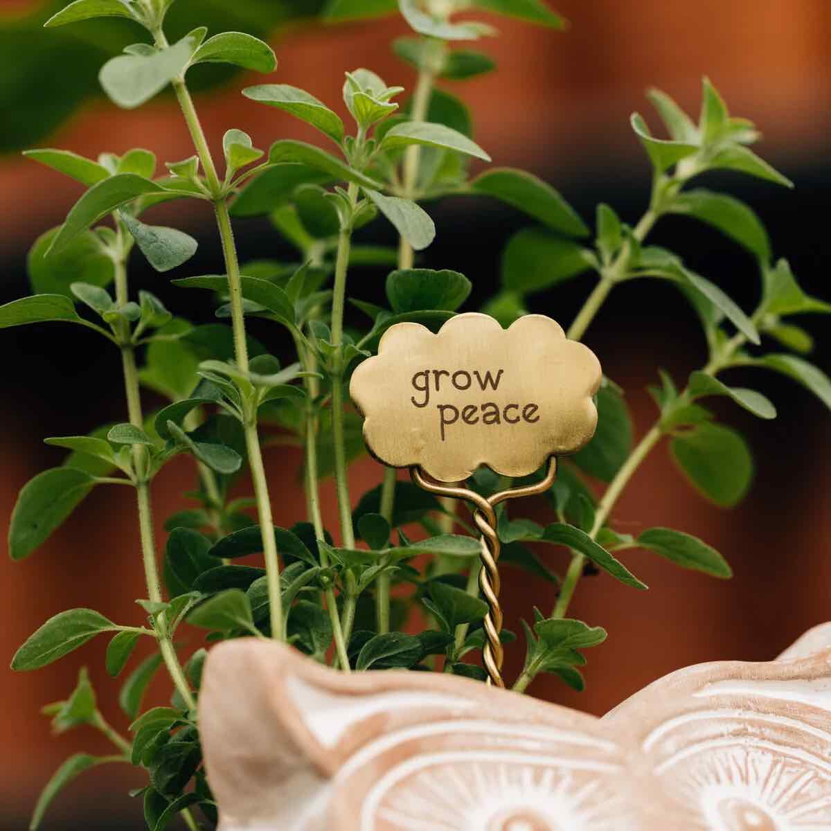 9 Unique Gifts for Plant Lovers — The Honest Consumer