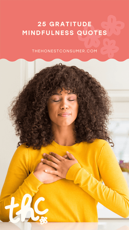 33 Gratitude Mindfulness Quotes for Appreciative Reflection — The ...