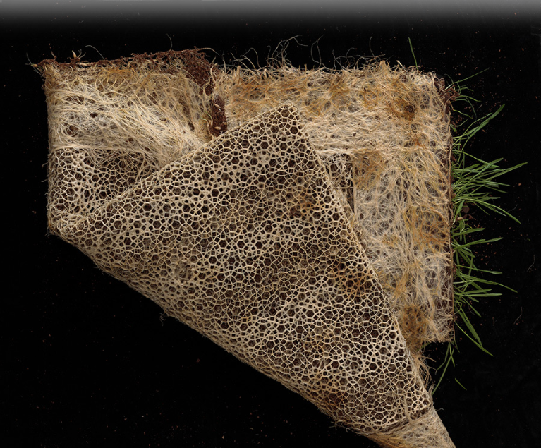 How Designers Are Turning to Nature for Subversive Solutions – Office ...