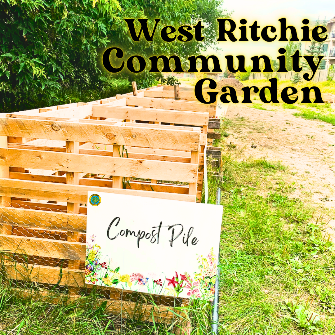 Ritchie Community League-West Ritchie Garden Perspective