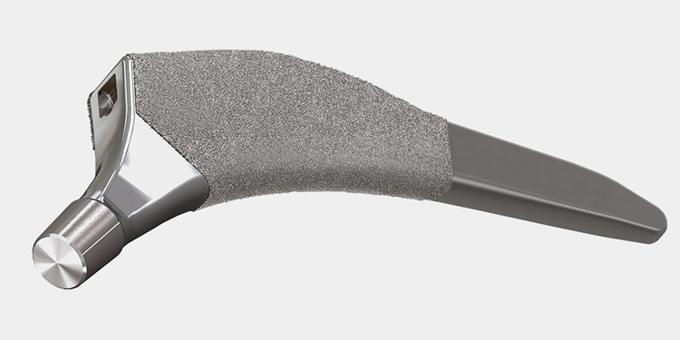 iNSitu Bipolar Hip System — NextStep