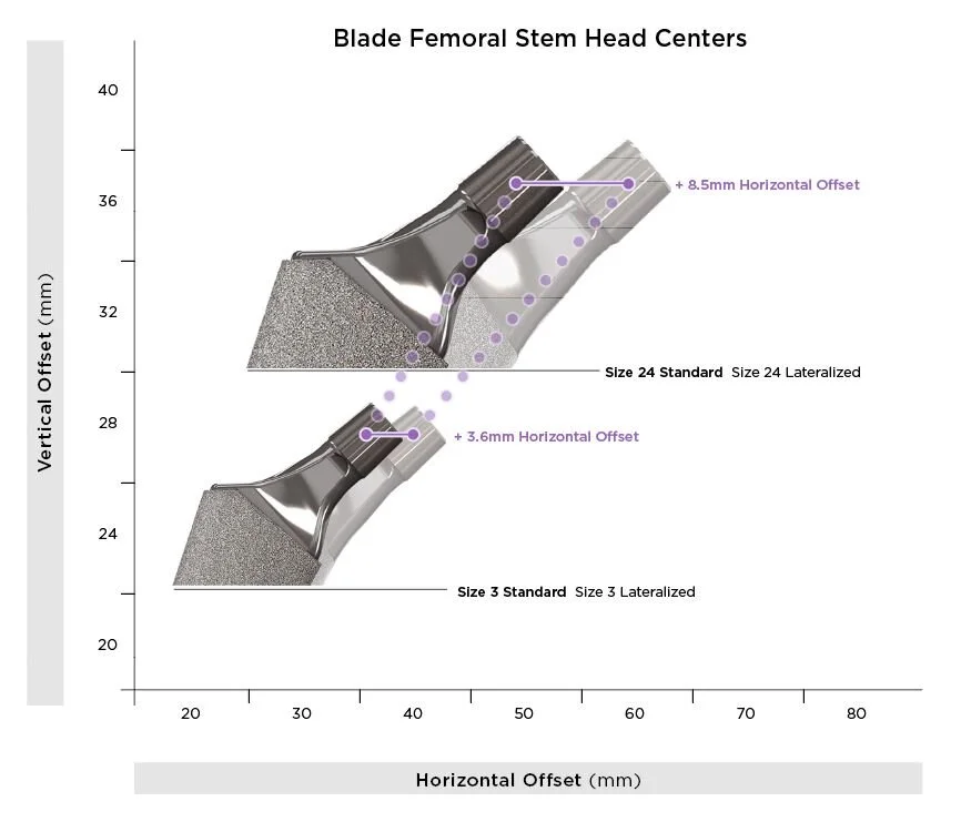 iNSitu Dual-Taper Blade Hip System — NextStep