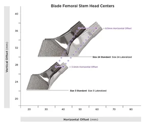 iNSitu Dual-Taper Blade Hip System — NextStep