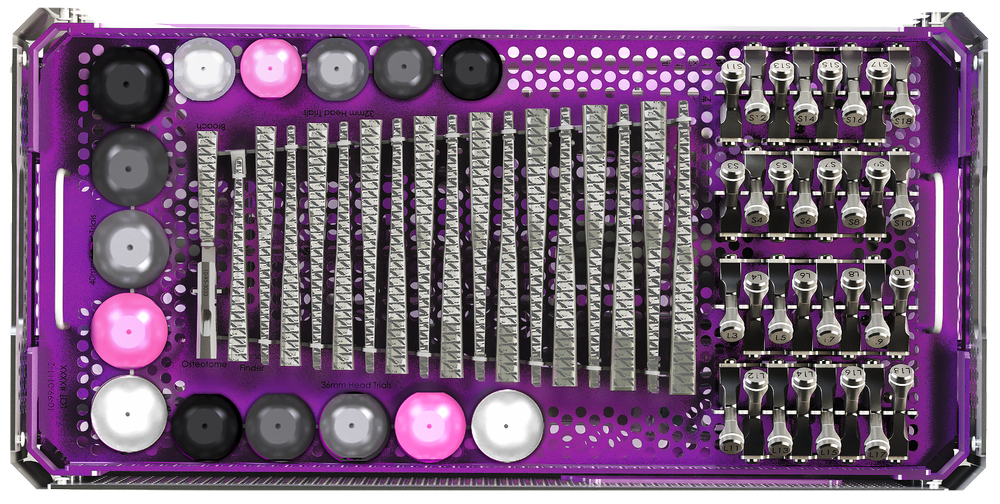 iNSitu Dual-Taper Blade Hip System — NextStep