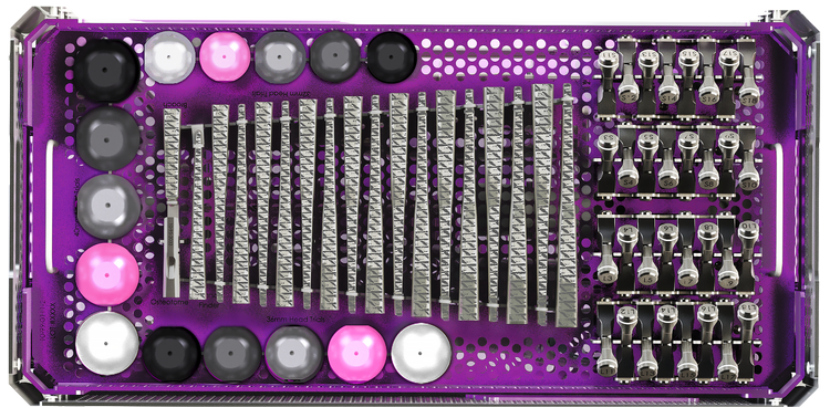 iNSitu Dual-Taper Blade Hip System — NextStep