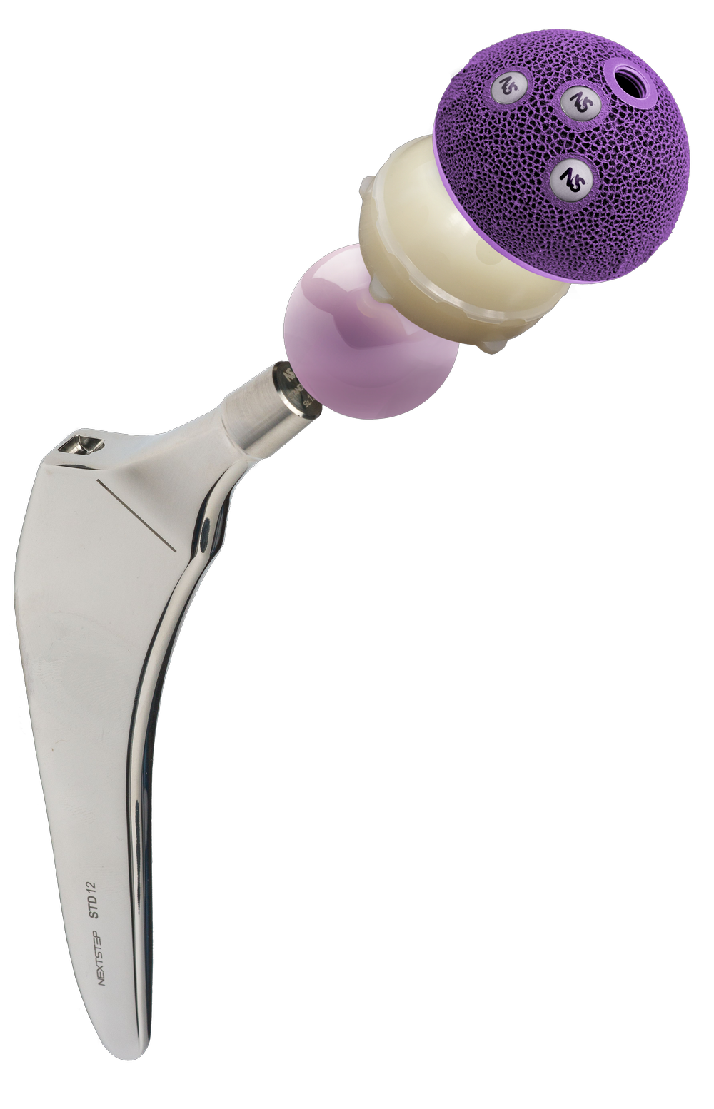 iNSitu Quad-Taper Cemented Hip System — NextStep