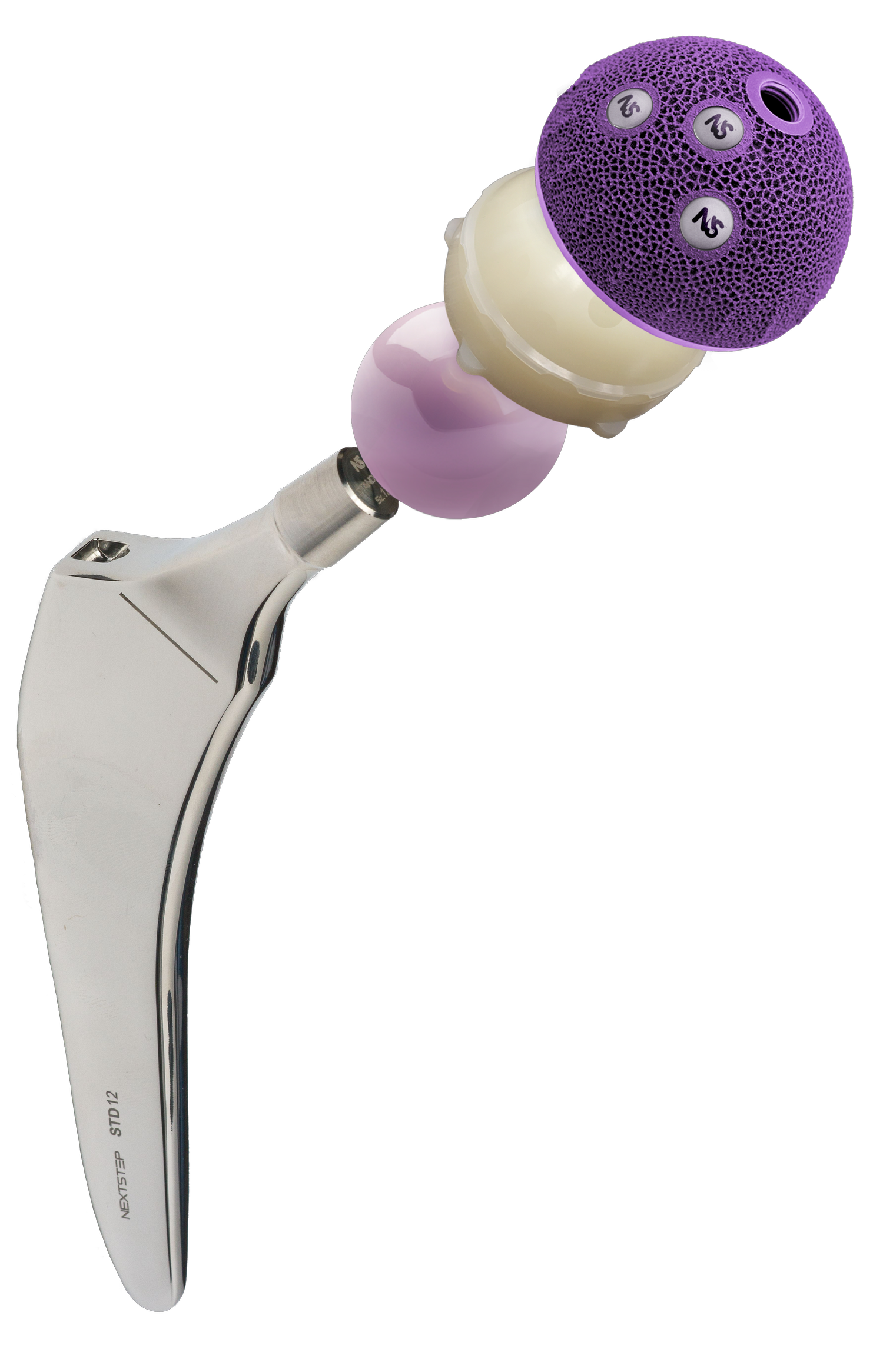 iNSitu Quad-Taper Cemented Hip System — NextStep