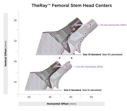 TheRay Collared Hip System — NextStep