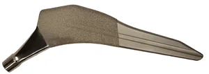 iNSitu Bipolar Hip System — NextStep