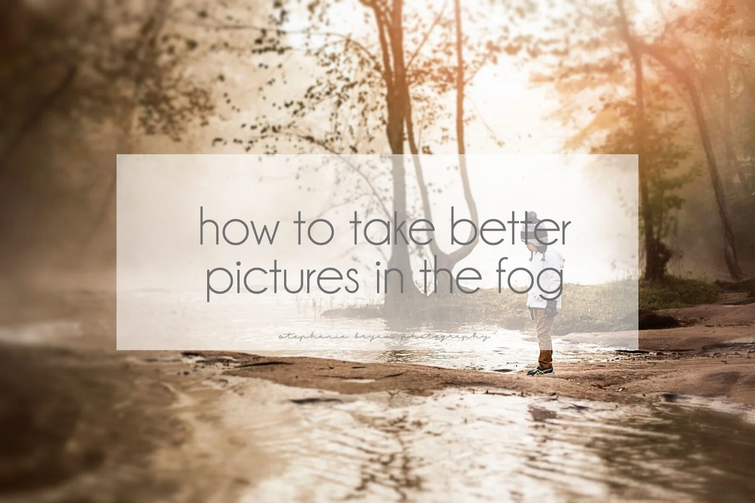 How to take better pictures in the fog — Stephanie Bryan Photography ...