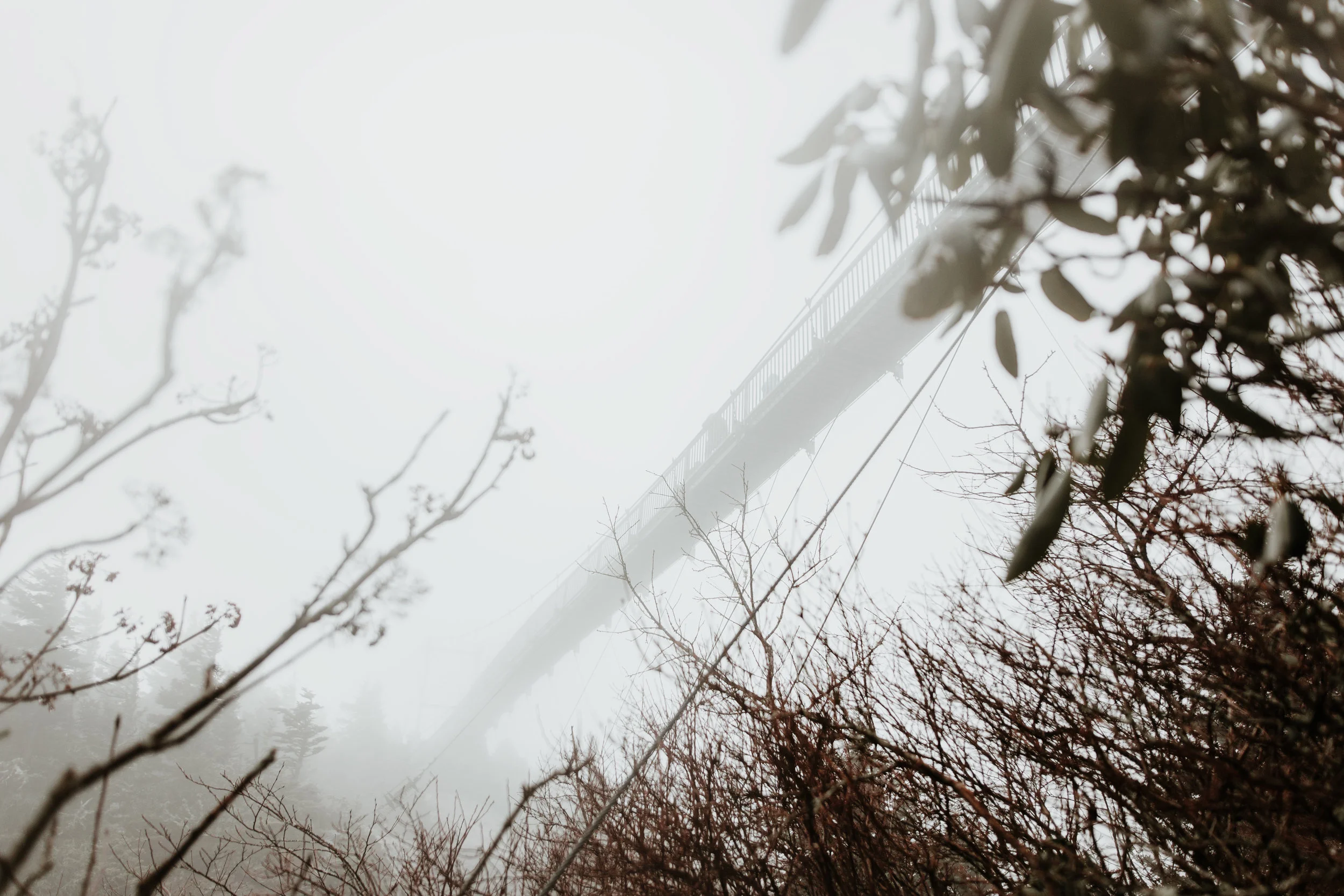 How to take better pictures in the fog — Stephanie Bryan Photography ...