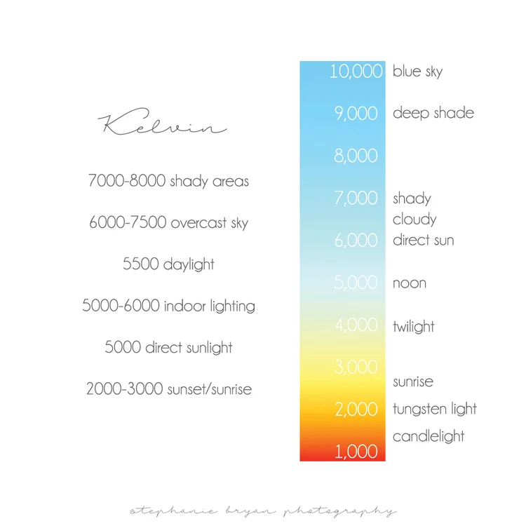 Understanding white balance — Stephanie Bryan Photography - Raleigh ...