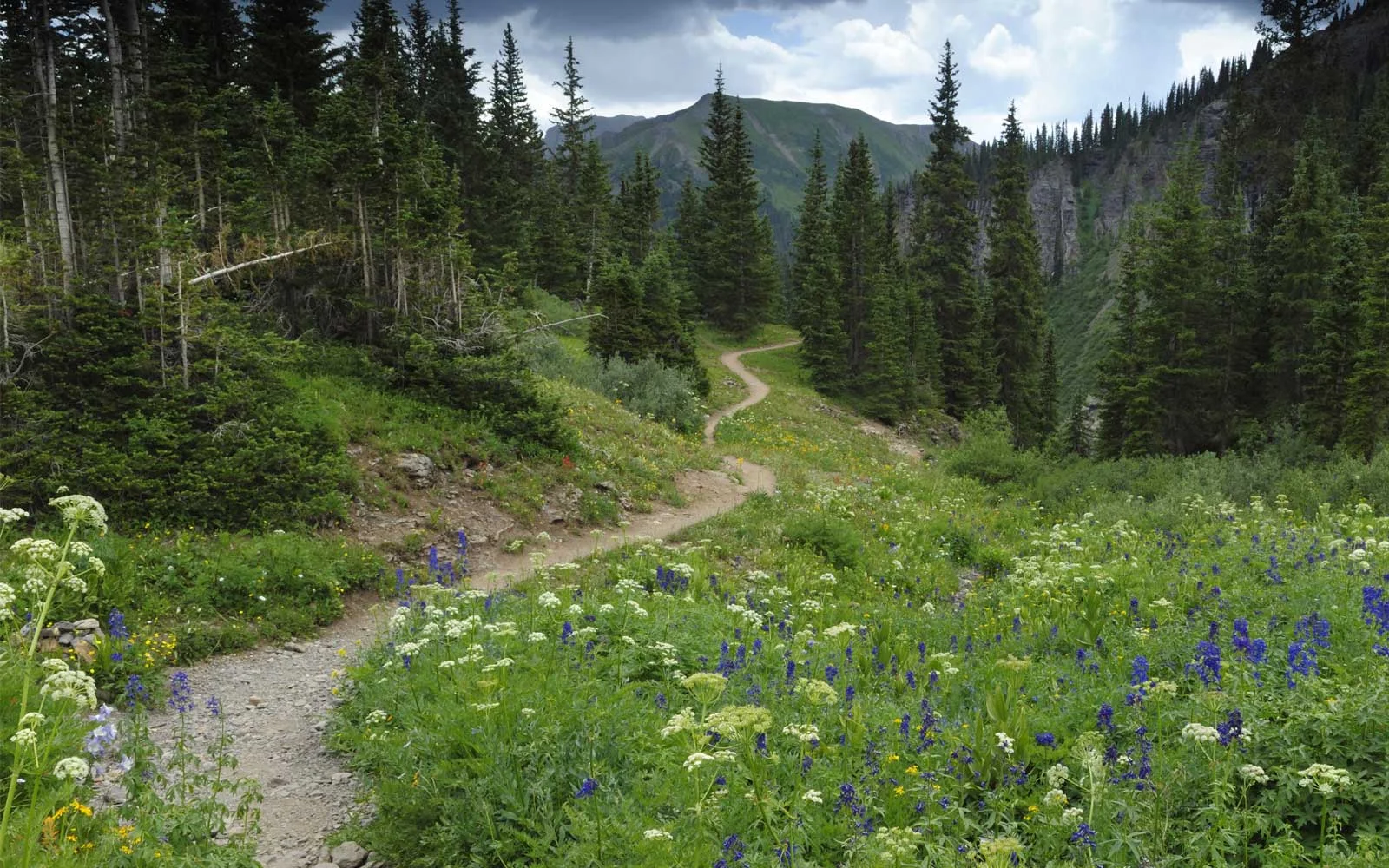 Cedar Wood Inn | Deadwood, South Dakota