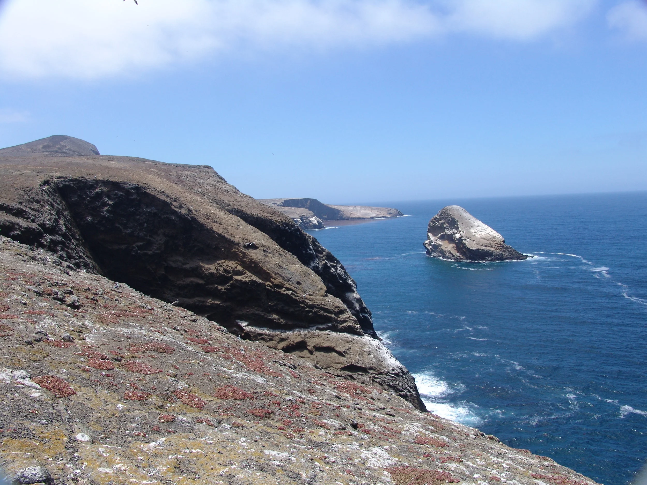 The Channel Islands of California — Channel Islands Restoration