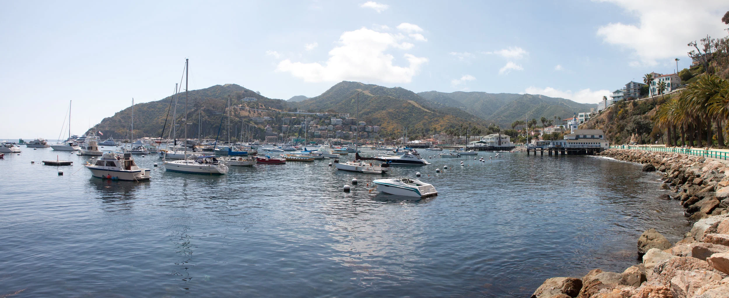 The Channel Islands of California — Channel Islands Restoration