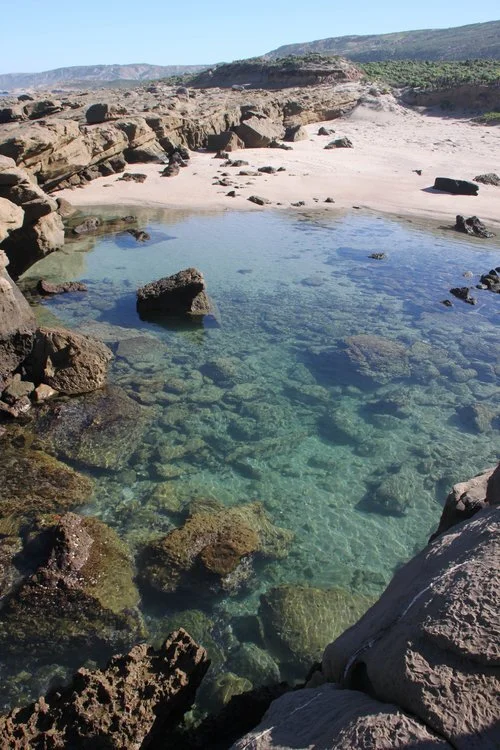 San Nicolas Island — Channel Islands Restoration