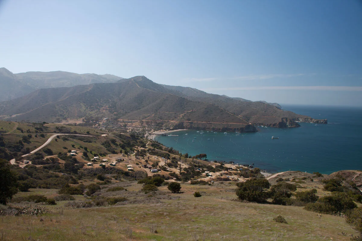 Santa Catalina Island — Channel Islands Restoration