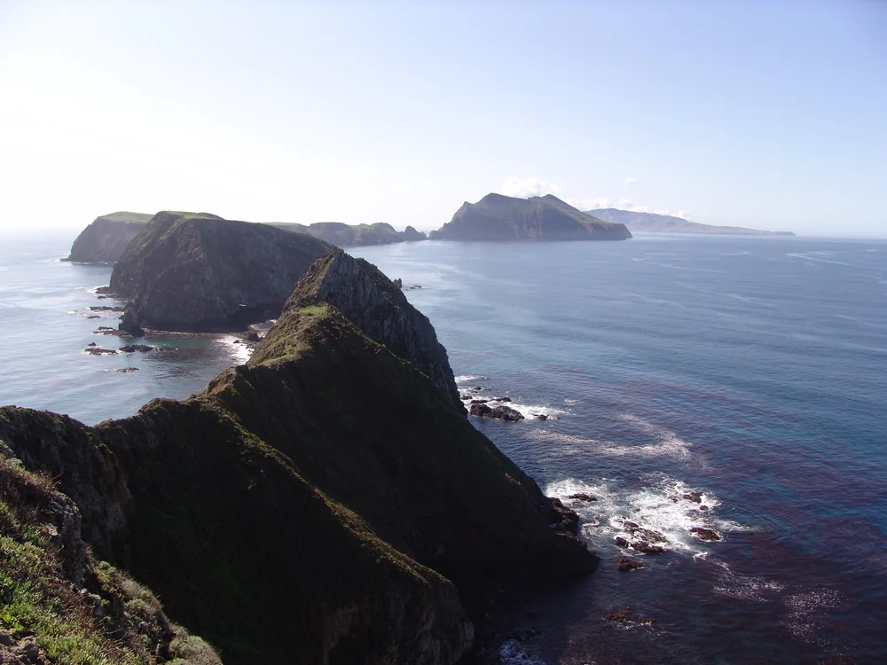 Learn About Anacapa Island — Channel Islands Restoration