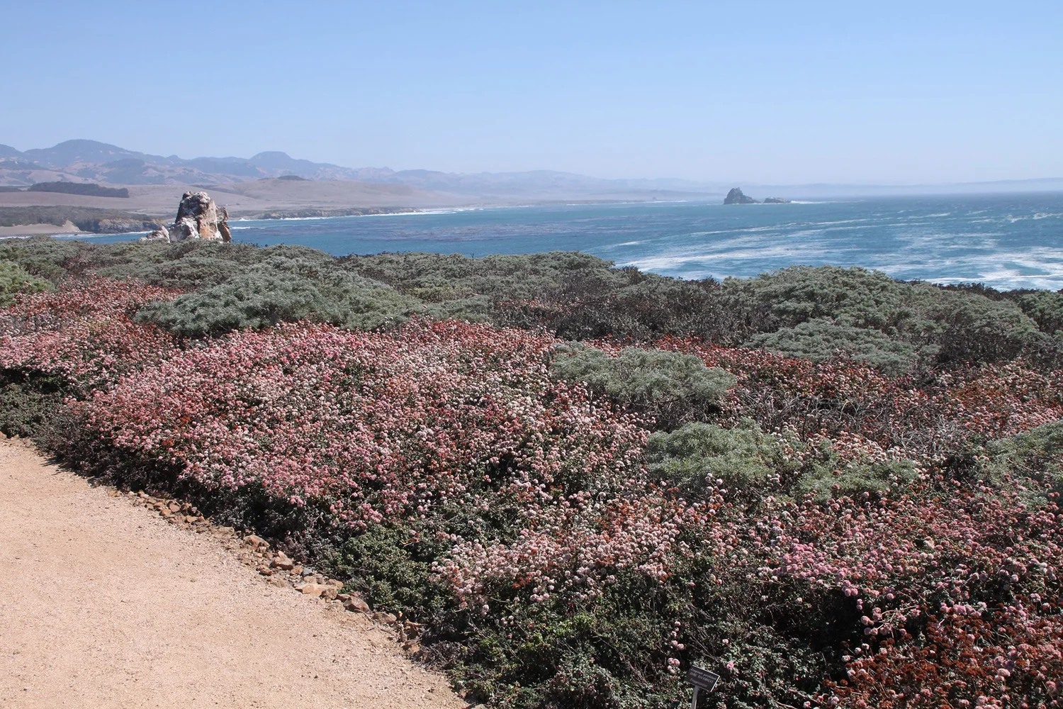 Central Coast Nature Tour — Channel Islands Restoration