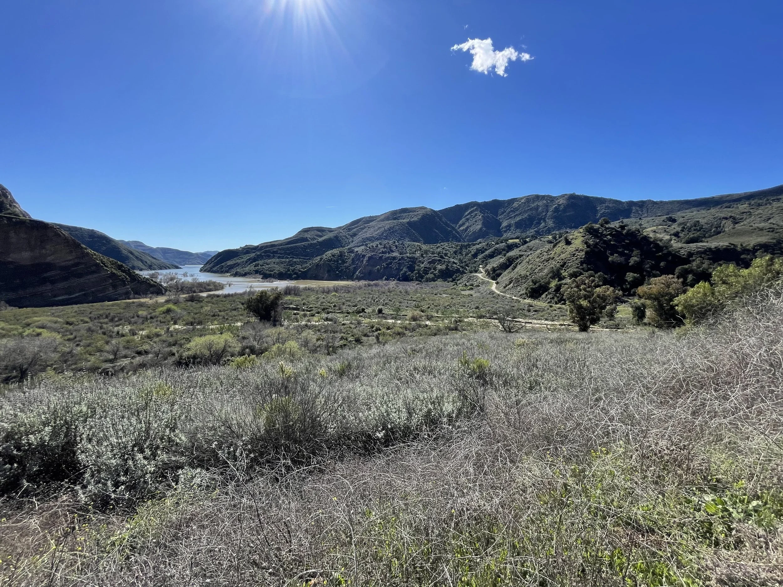 Lake Piru Volunteer Day — Channel Islands Restoration