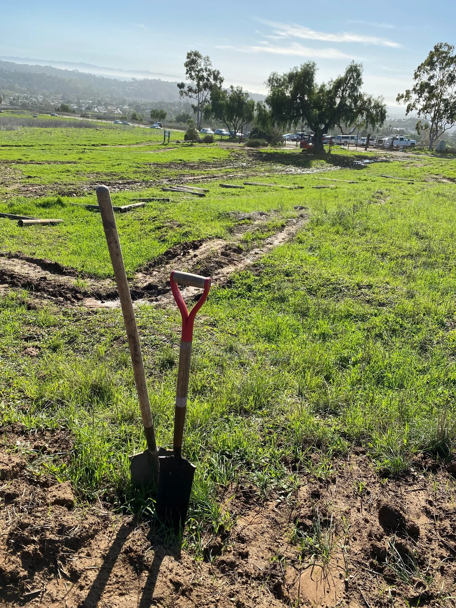 Ethnobotanical Chumash Garden — Channel Islands Restoration