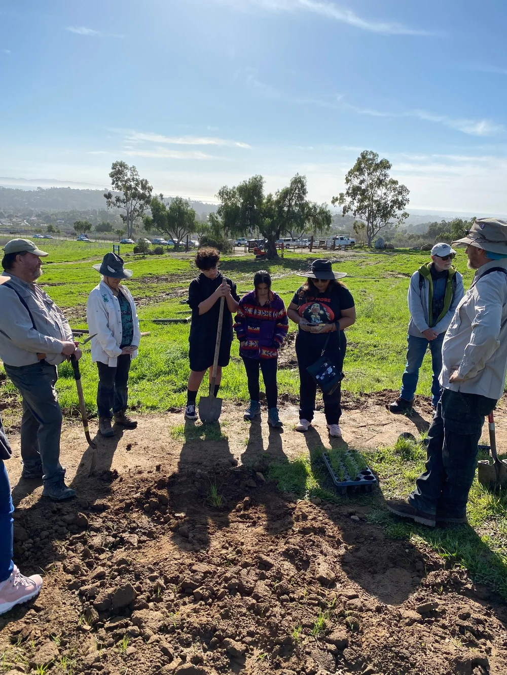 Ethnobotanical Chumash Garden — Channel Islands Restoration
